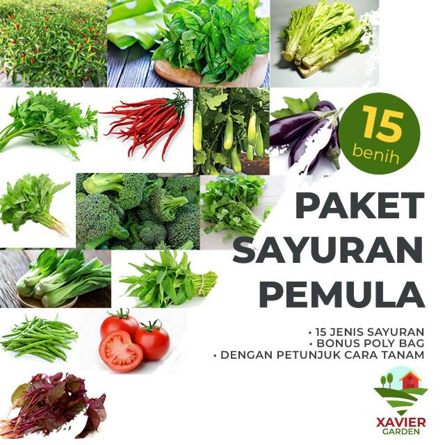Jual PAKET SAYURAN PEMULA 15 BENIH | Shopee Indonesia