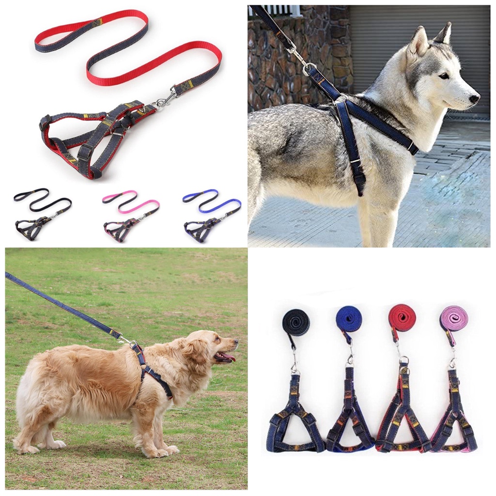 Jual Dog Harness Leash Tali Tuntun Harnes Rantai Anjing Kucing Pet ...