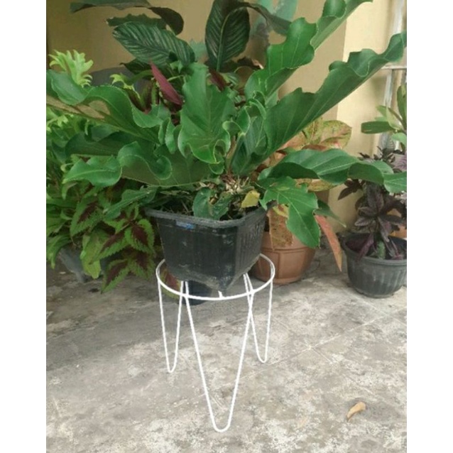 Jual Rak pot besi / standing pot / tatakan pot dari besi | Shopee Indonesia
