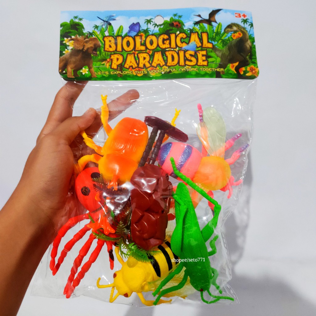 Jual Biological Paradise Serangga Isi 5 / 10 Lebah Kumbang Tarantula ...