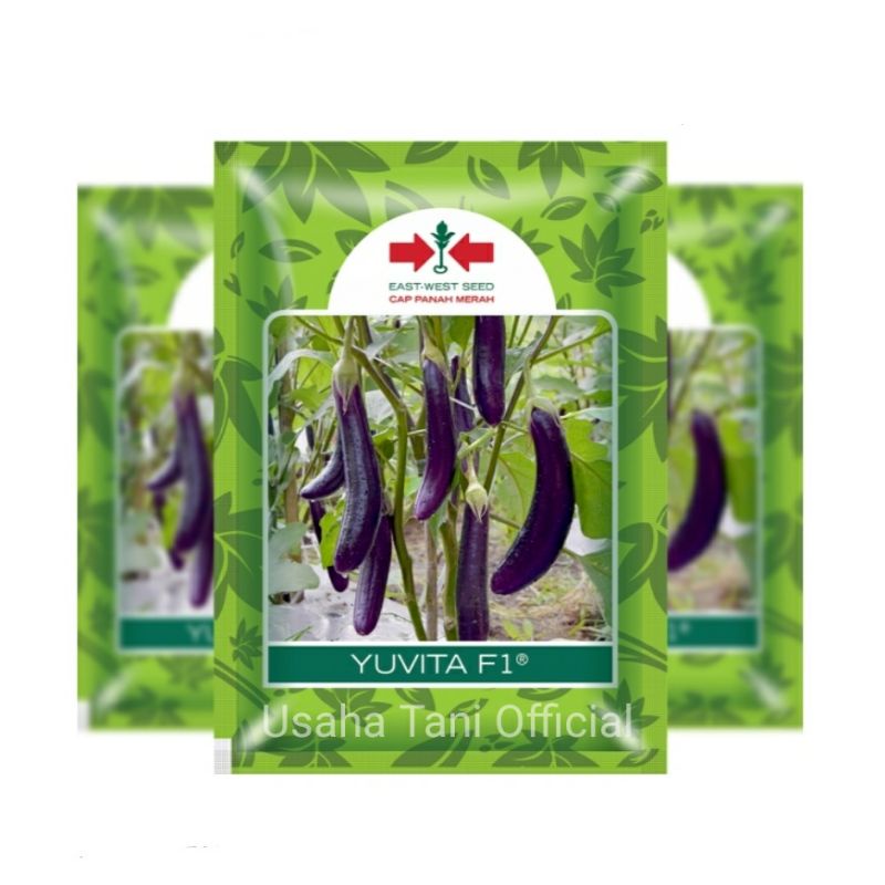 Jual Benih Terong Ungu Yuvita Cap Panah Merah | Shopee Indonesia