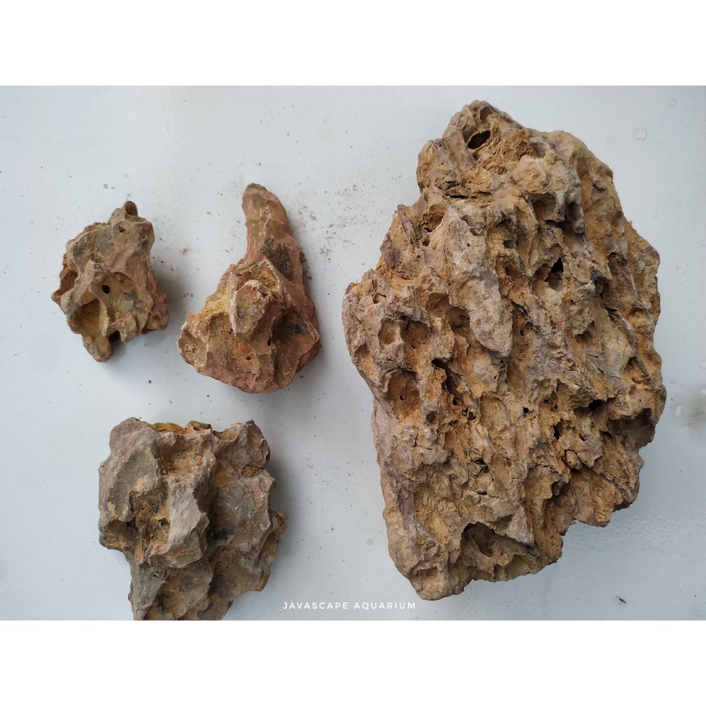 Harga Dragon Stone Batu Aquascape Terbaru Jun 2026 | BigGo Indonesia