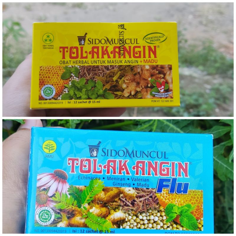 Jual SIDOMUNCUL TOLAK ANGIN 1 BOX | Shopee Indonesia Jual SIDOMUNCUL TOLAK ANGIN 1 BOX | Shopee Indonesia