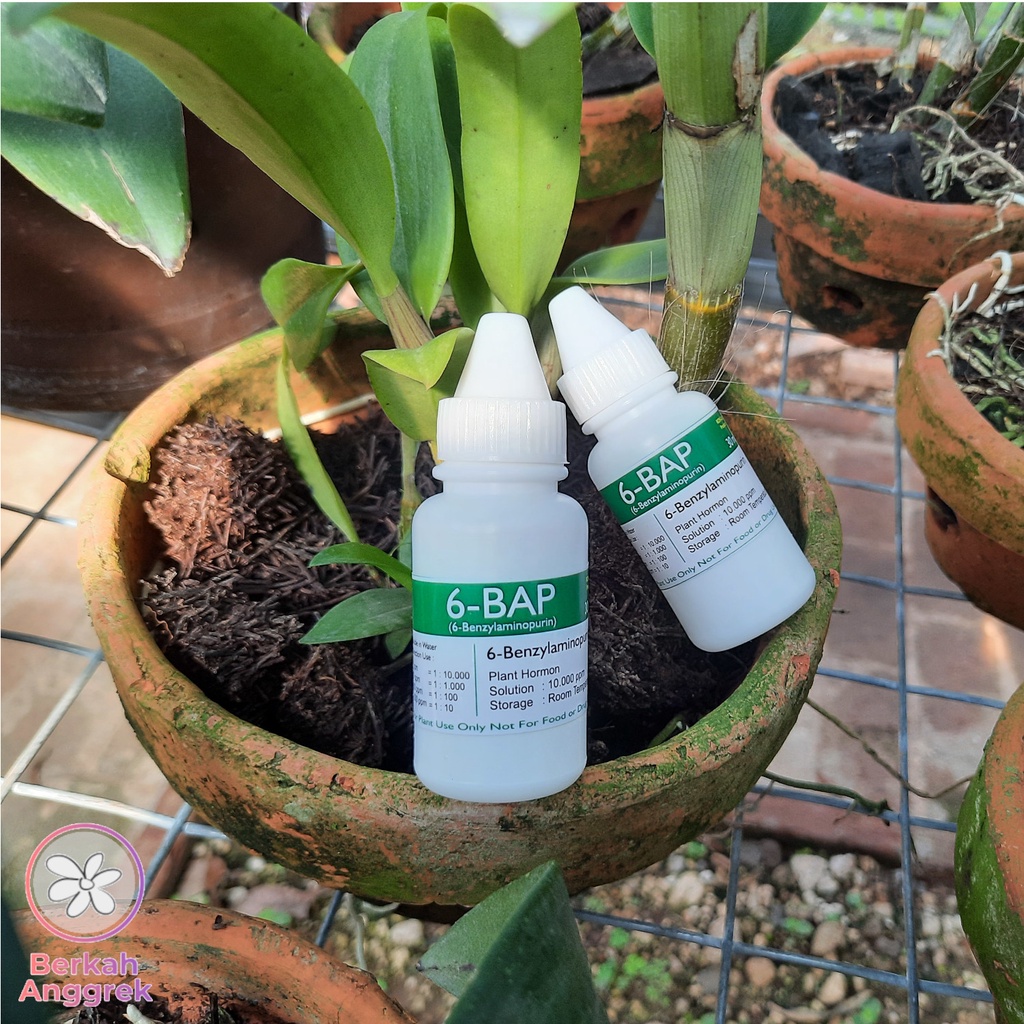 6 Benzylaminopurine BAP Hormon Anggrek Label Hijau | Shopee Indonesia