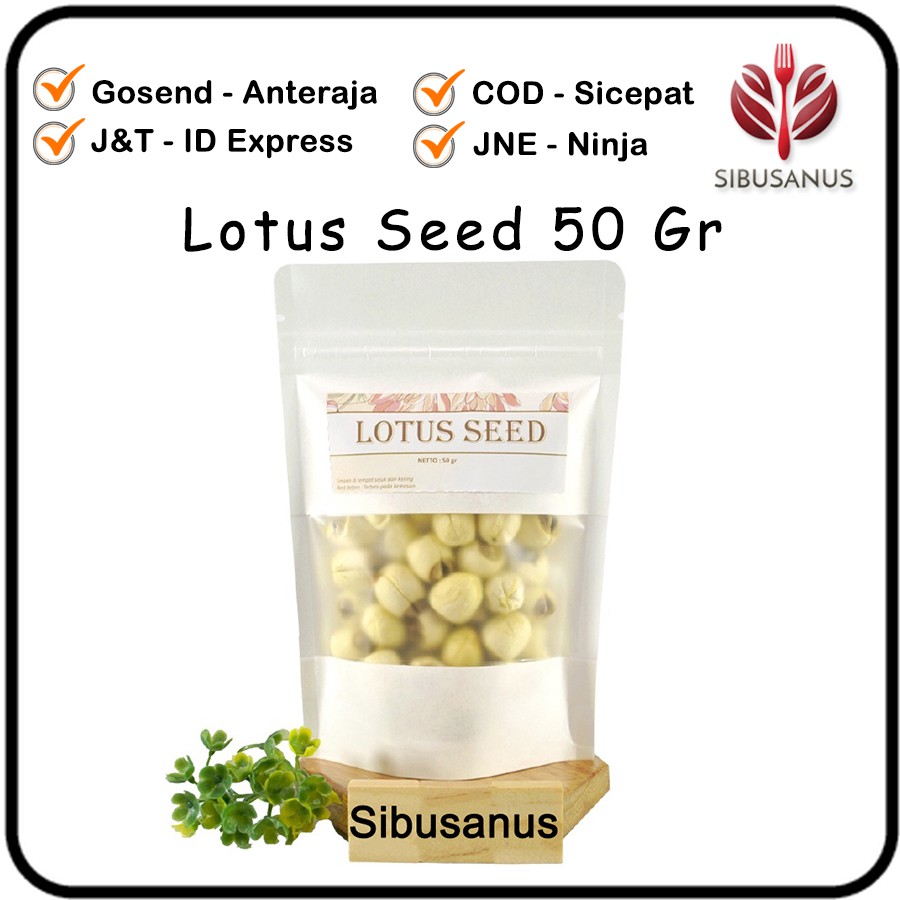 Jual Biji Bunga LOTUS - Biji Lotus Seed - Biji Bunga Teratai 50 gram ...