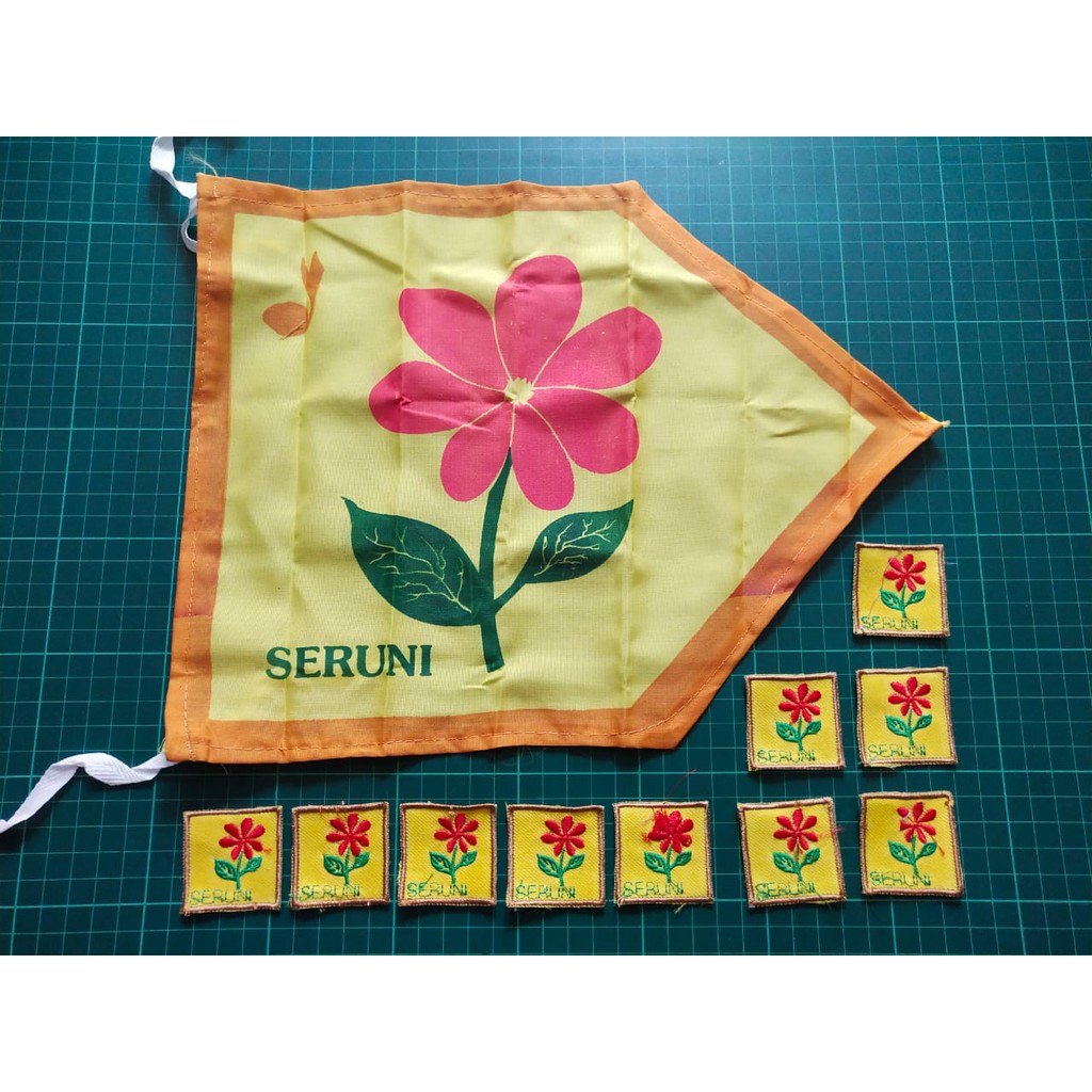 16+ Gambar Bunga Aster Pramuka yang Lagi Viral - Informasi Seputar ...