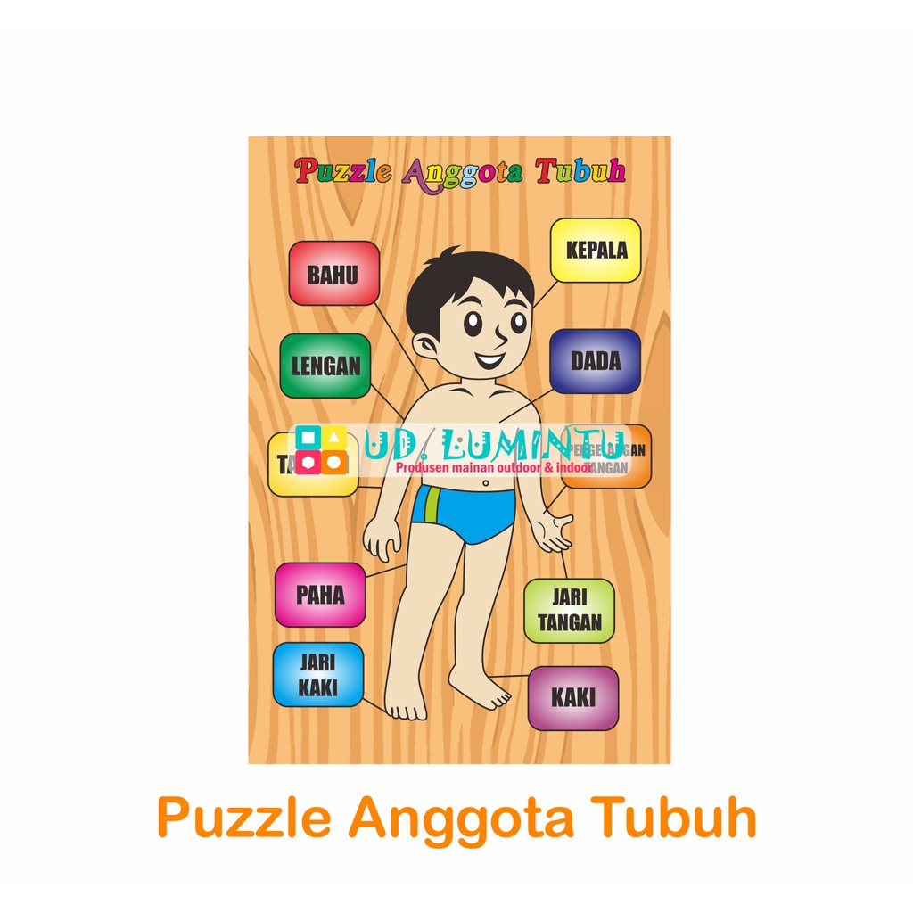 Jual Puzzle Anggota Tubuh Putra | Shopee Indonesia