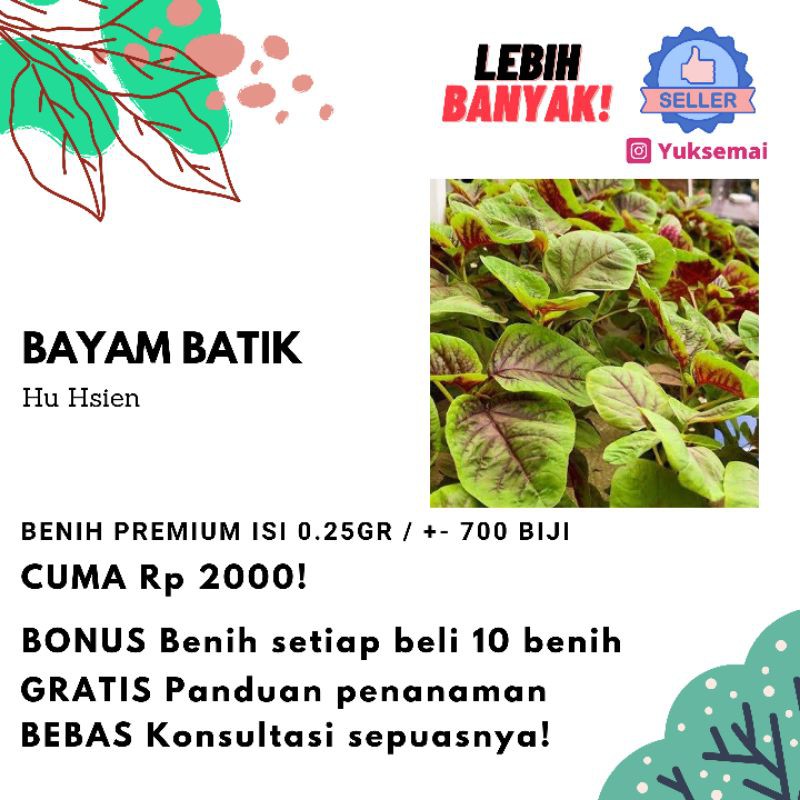 Jual BENIH / BIBIT BAYAM BATIK HU HSIEN KNOWN YOU SEED MURAH ISI +- 700 ...