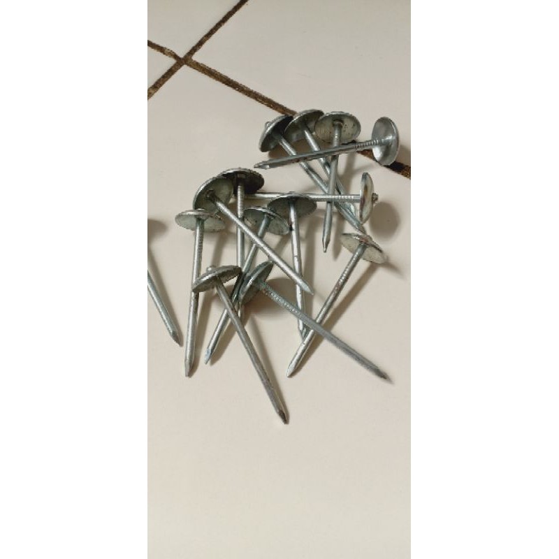 Jual Paku Seng 5cm Per Kg / Paku Asbes 5cm / Paku Payung 5cm | Shopee ...