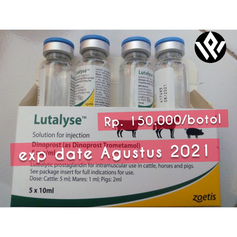 Lutalyse 10 ml Zoetis Mengatasi Gangguan Reproduksi Hewan | Shopee ...