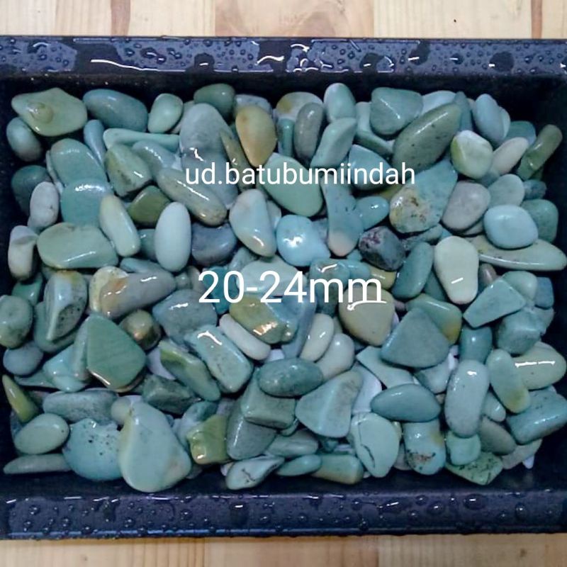 Jual Batu Koral Hijau Flores Hiasan Taman (1kg) Indonesia|Shopee Indonesia