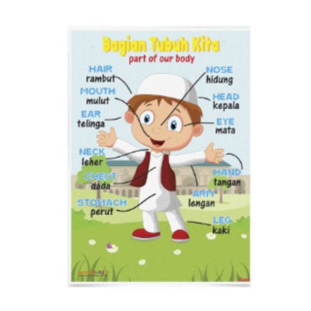 Jual Poster Edukasi / Anggota Badan Boys Indonesia|Shopee Indonesia