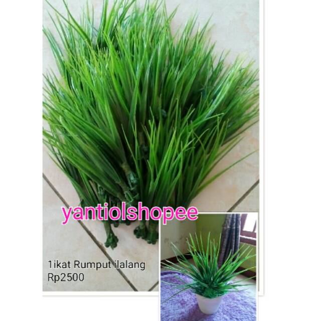 Jual Rumput ilalang | Shopee Indonesia