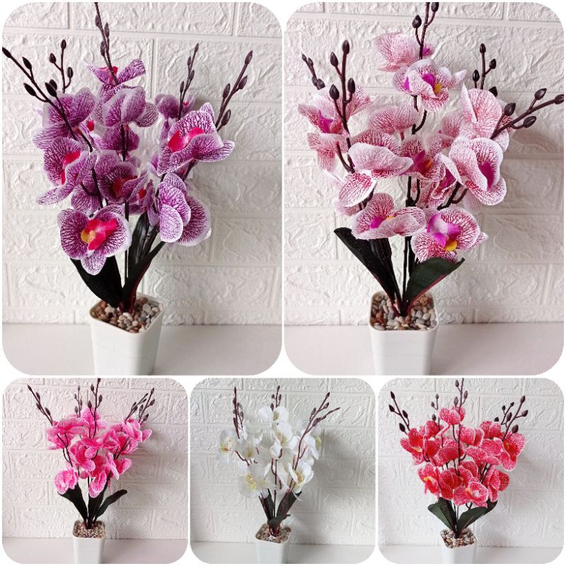 Jual Bunga Anggrek Tulip kain 5 tangkai pot plastik kotak cm | Shopee ...