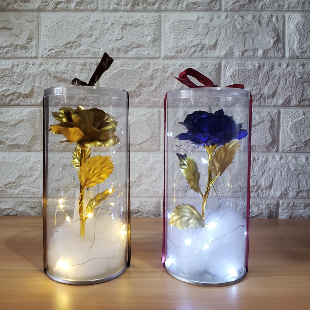 Jual Fairytale Rose bunga dalam tabung Indonesia|Shopee Indonesia