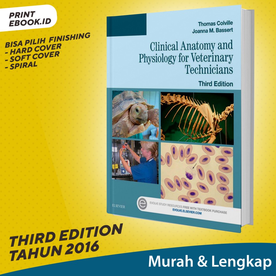 Harga clinical anatomy Terbaru Sep 2024 |BigGo Indonesia