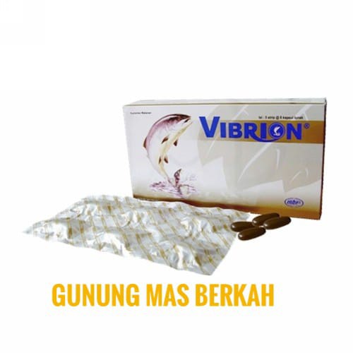 Vibrion 30 Kapsul | Shopee Indonesia