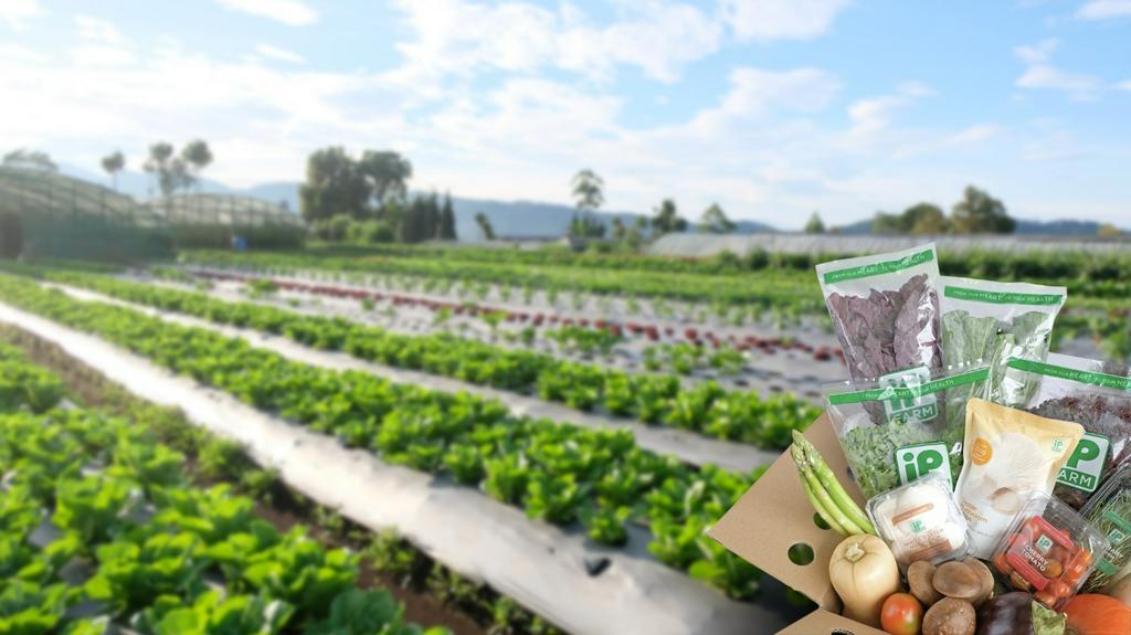 Toko Online ipfarm | Shopee Indonesia