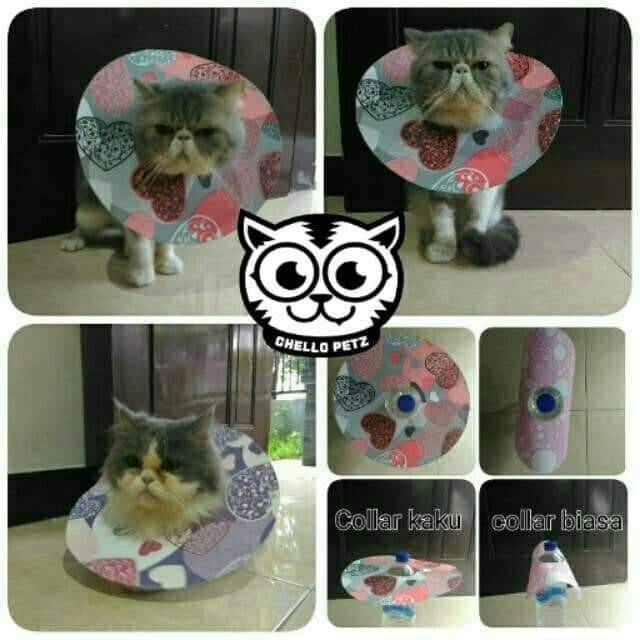 Jual Collar kucing baju kucing kalung kucing | Shopee Indonesia