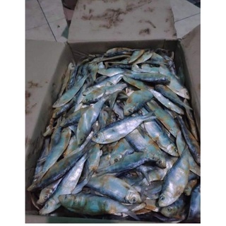 Jual Ikan Asin Tanjan Tembang Murah 1kg | Shopee Indonesia
