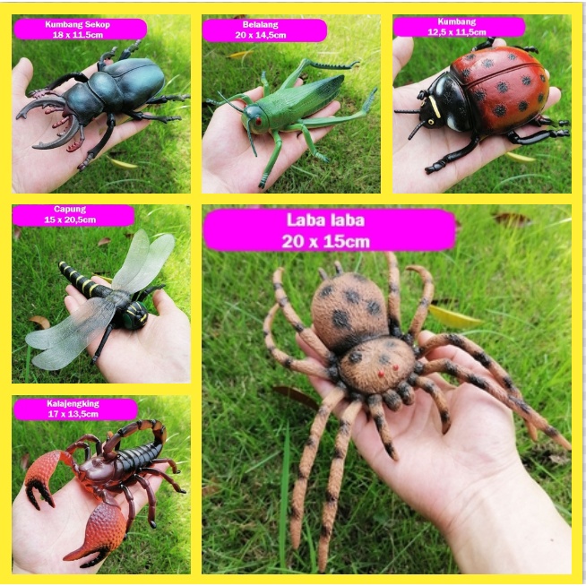 Jual Mainan Edukasi Anak Hewan Binatang Serangga Figurin Insect Figure ...