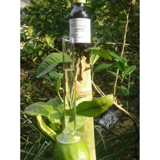 Jual 100 ml - minyak atsiri lemon / lemon essential oil (Citrus x limon ... Jual 100 ml - minyak atsiri lemon / lemon essential oil (Citrus x limon ...