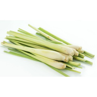 Jual DAUN SERE / SERAI / SAYURAN SEGAR 1 KG Indonesia|Shopee Indonesia