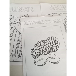 Jual Mengenal Nama Sayuran,COLORING BOOK SAYUR | Shopee Indonesia