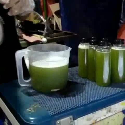 Jual Sari tebu murni/es tebu murni kemasan botol 500ml/kemasan botol ...