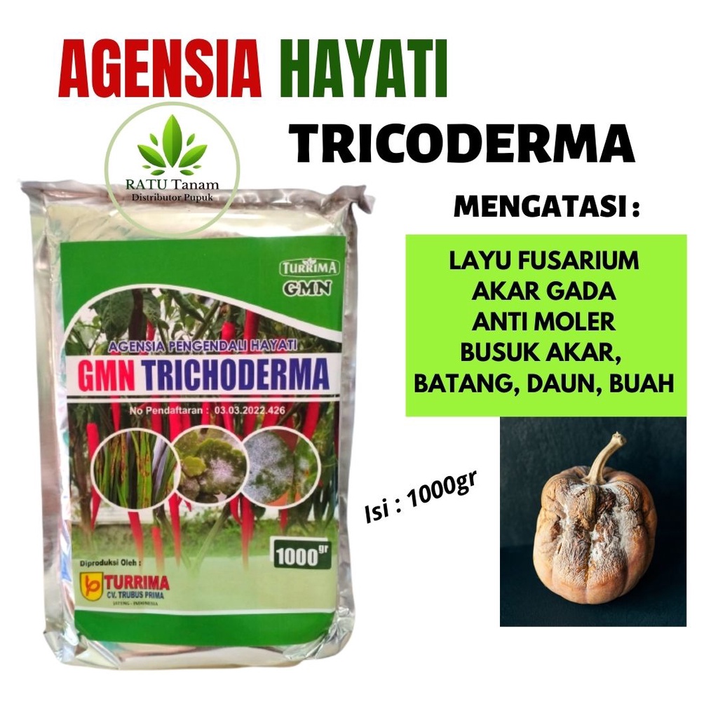 Jual AGENSIA HAYATI TRICHODERMA CEGAH LAYU FUSARIUM, PUPUK TRICHODERMA BUBUK 1KG UNTUK BUSUK ...