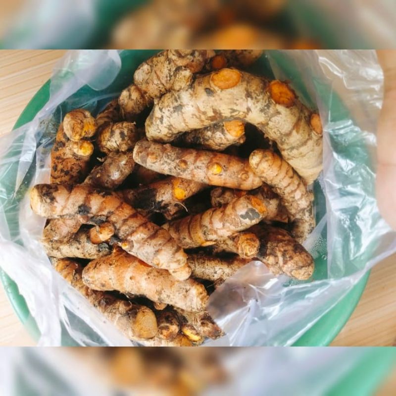 Jual KUNYIT/KUNIR LANGSUNG DARI PETANI SEGAR PREMIUM | Shopee Indonesia
