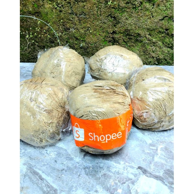 Jual Tanah Liat Lemah Lempung Kuning Bentonite Clay 1kg Indonesia ...