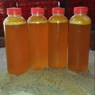 Jual MADU TAWON GUNG DIJAMIN ASLI | Shopee Indonesia