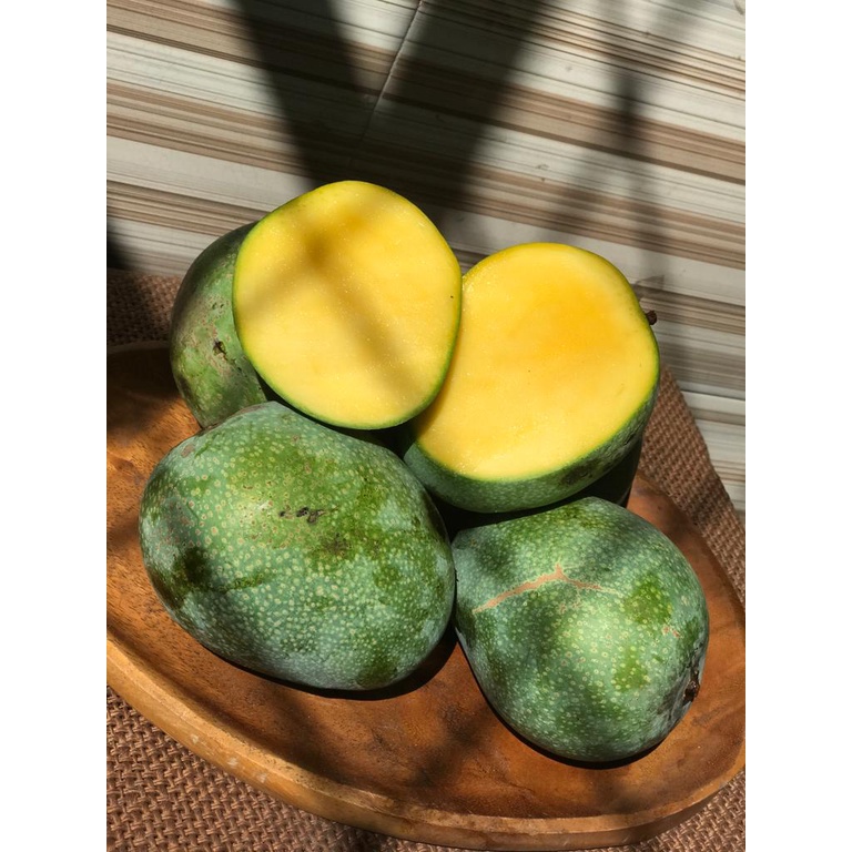 Jual MANGANOBUAH - MANGGA MADU ANGGUR | Shopee Indonesia