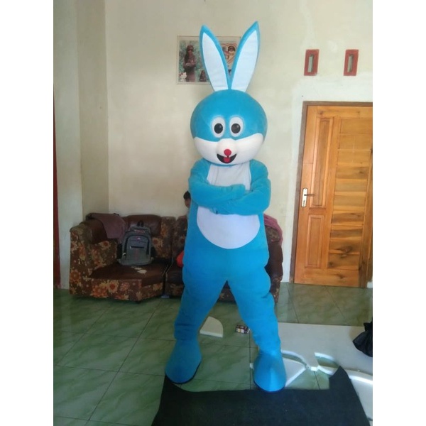 Jual KOSTUM BADUT KELINCI | Shopee Indonesia