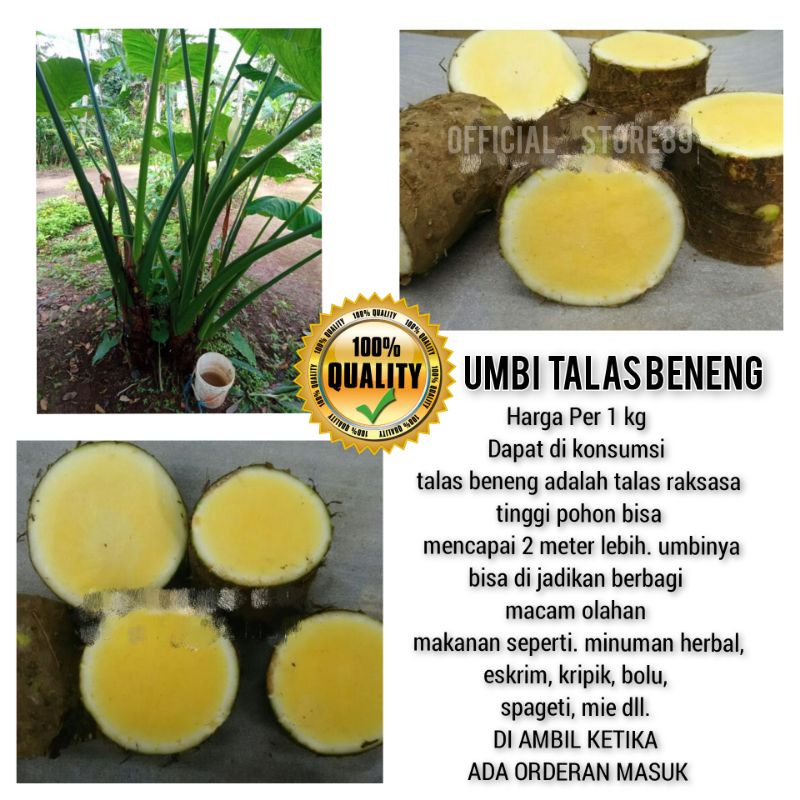 Jual UMBI TALAS BENENG COCOK DI KOMSUMSI 1 KG | Shopee Indonesia
