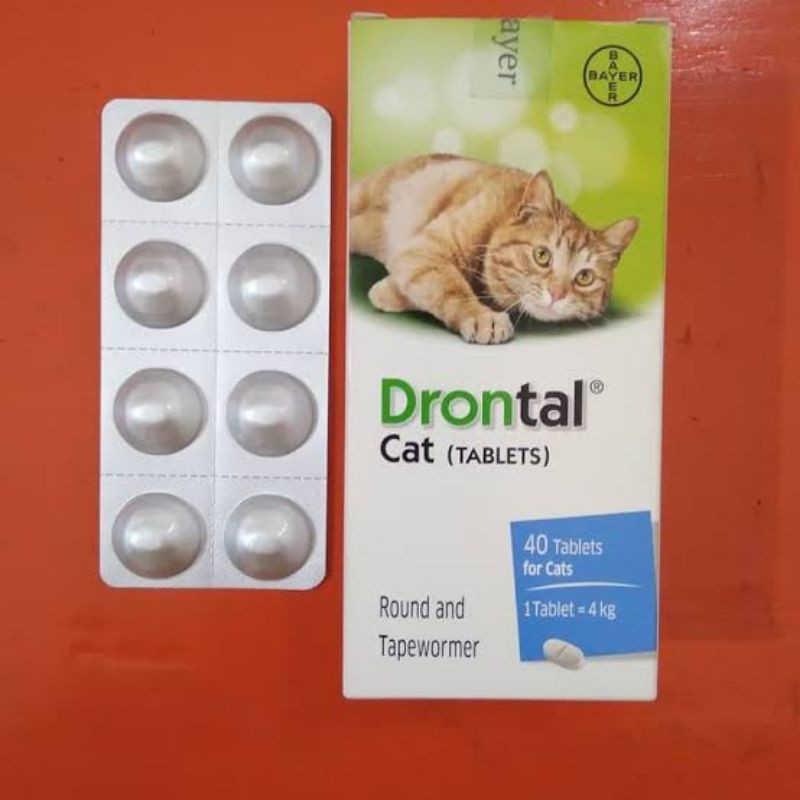 drontal cat | Shopee Indonesia