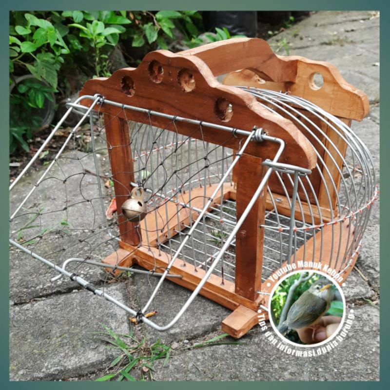 Jual Kandang jebak burung puyuh | Shopee Indonesia