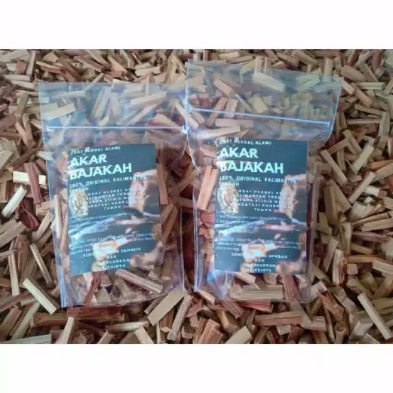 Jual AKAR BAJAKA TAMPALA / BISA BAYAR D TEMPAT | Shopee Indonesia