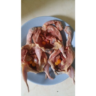 Jual Daging Burung Puyuh Frozen grade A (BB 1.7-1.8 kg) | Shopee Indonesia