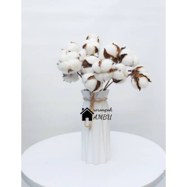 Jual Bunga kapas pertangkai/ dried flower/ bunga kapas warna/ bunga ...