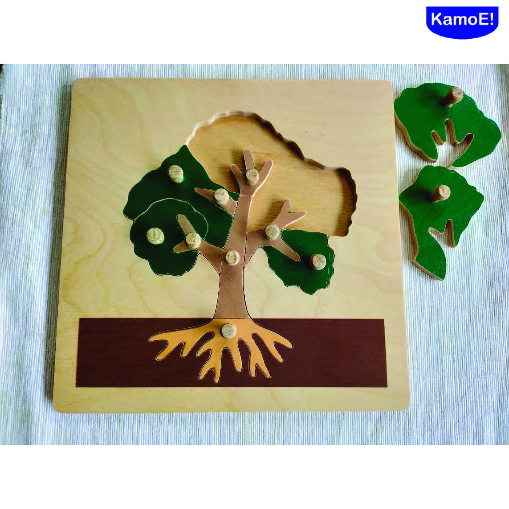 Harga Botany Terbaru September 2022 |BigGo Indonesia