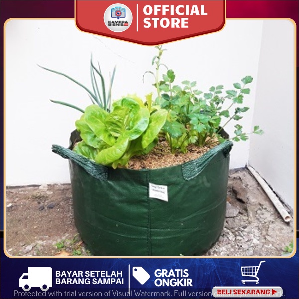 Jual Large vegetable planter easy grow pot tanam sayuran ukuran L ...