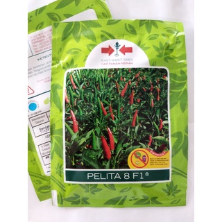 Jual Benih cabe rawit PELITA 8 F1 2250 butir, cabe rawit hibrida cap ...