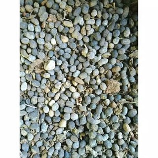 Jual media pupuk tai kambing / 1kg | Shopee Indonesia