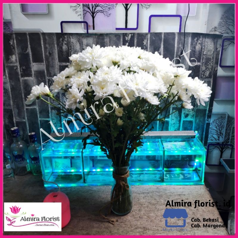 Jual Bunga aster jimla Krisan asli segar / bunga aster per ikat (10 ...