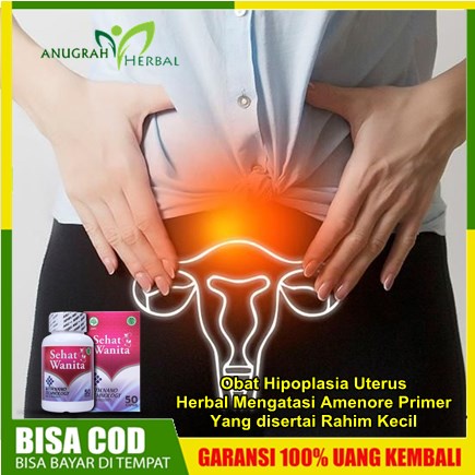 Jual Obat Hipoplasia Uterus , Herbal Mengatasi Amenore Primer Yang ...