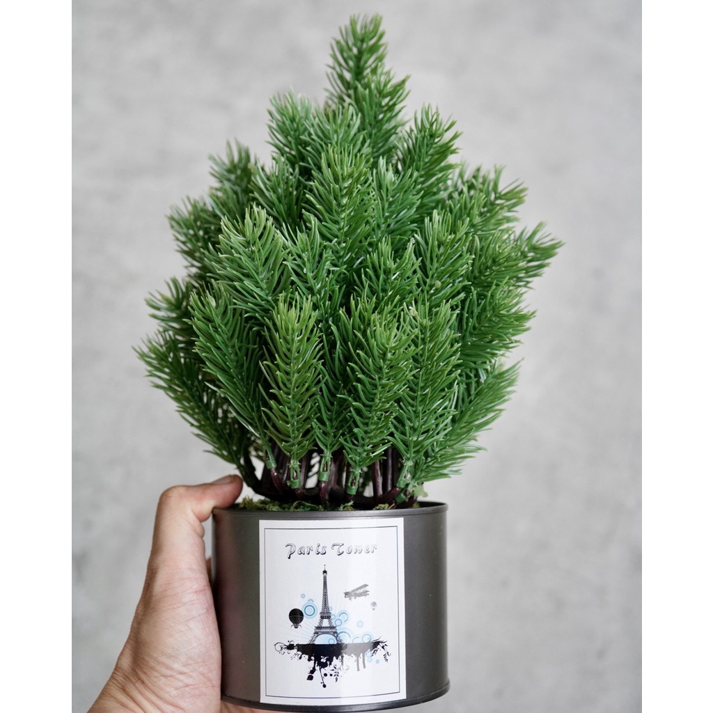 Jual Cemara bonsai plastik tidak pakai pot / pohon dekorasi / bunga ...