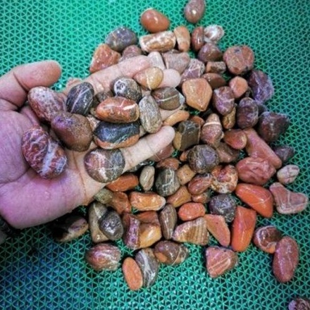 Jual batu alam merah hati untuk taman, pot dan aquarium 1 kg | Shopee ...