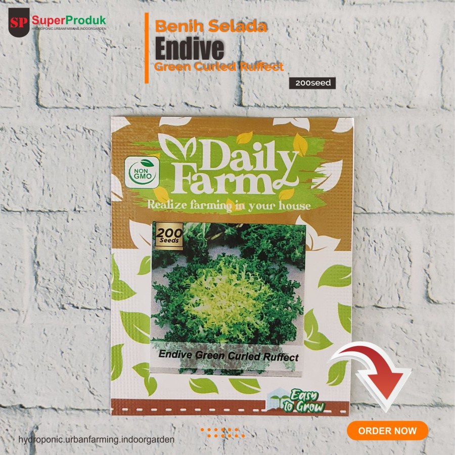 Jual Benih Selada Endive Daily Farm | Shopee Indonesia